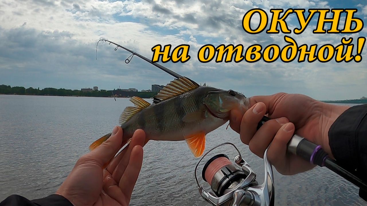 ОТВОДНОЙ или ДРОПШОТ на что поймаю больше???