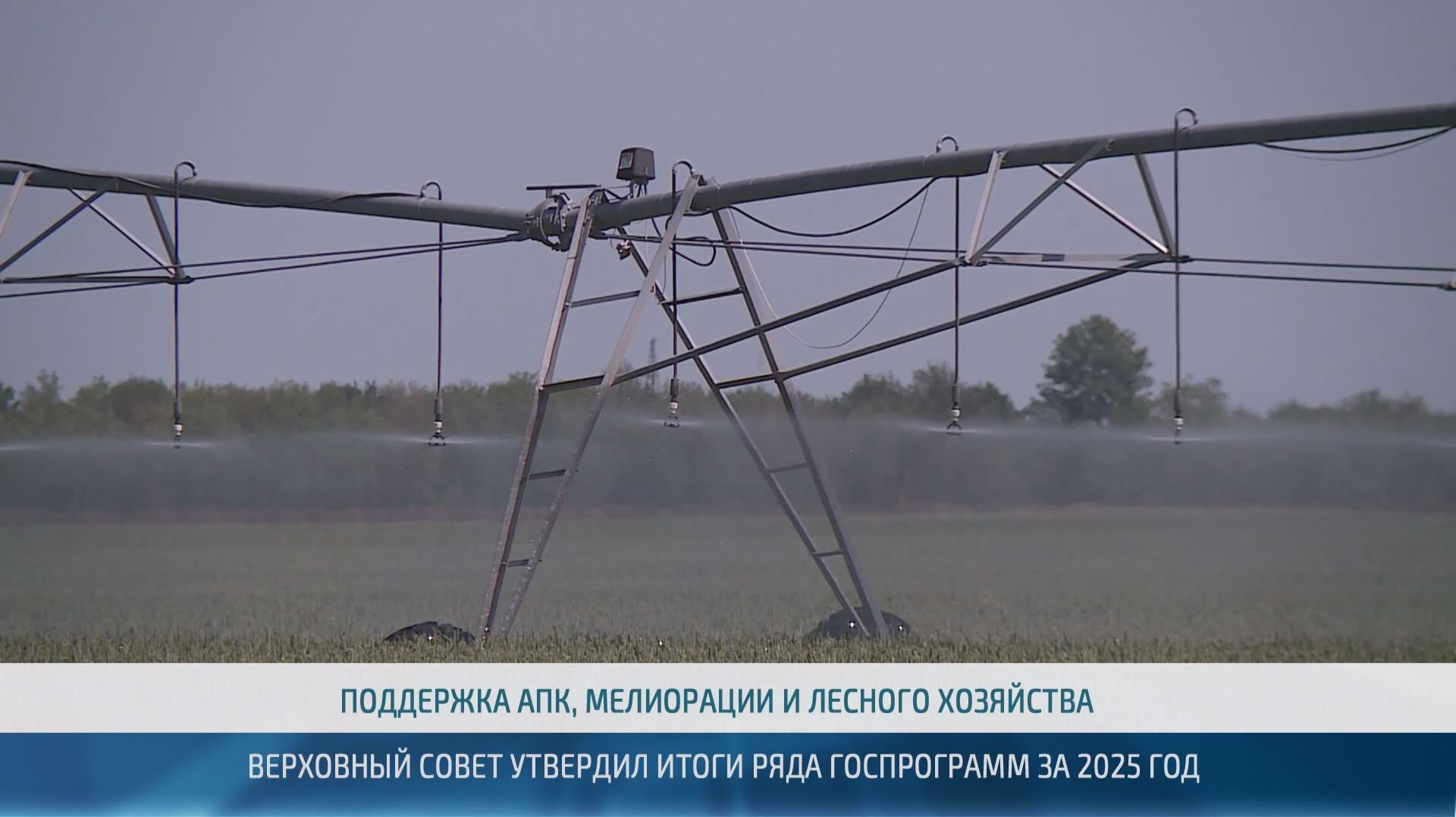 Поддержка АПК, мелиорации и лесного хозяйства – итоги госпрограмм за 2025 год – 11.06.2026