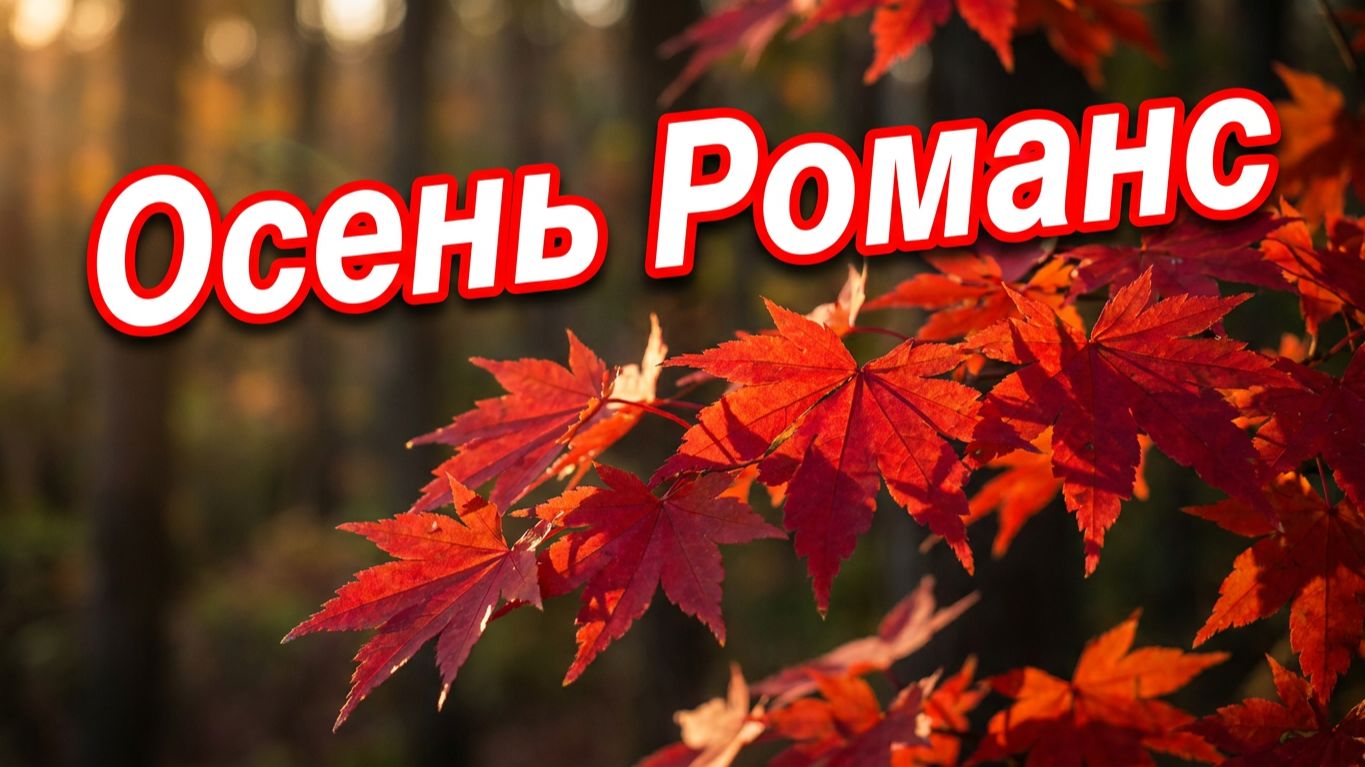 Такая грусть лишь в это время года… Господь не зря мгновения выбирает….Прогулка в лесу