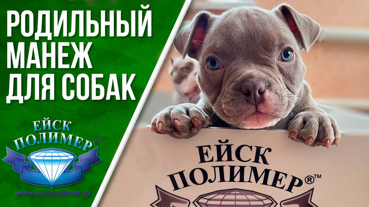 Родильный манеж для собак