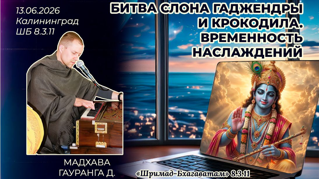 Мадхава Гауранга дас. «Шримад-Бхагаватам» в Калининграде