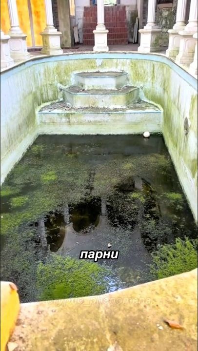 Почему лучше избегать водоемов со стоячей водой?