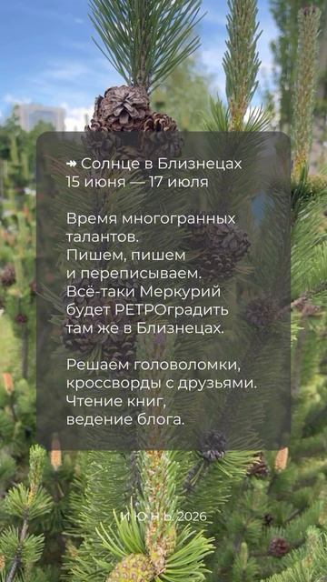 И Ю Н Ь. 2026