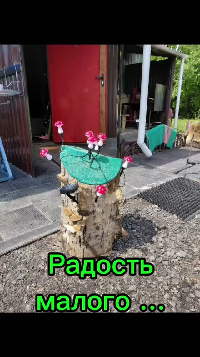 Пень с грибами