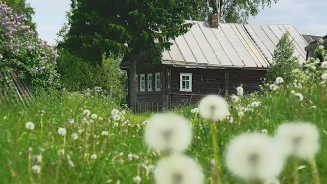 Деревенское детство