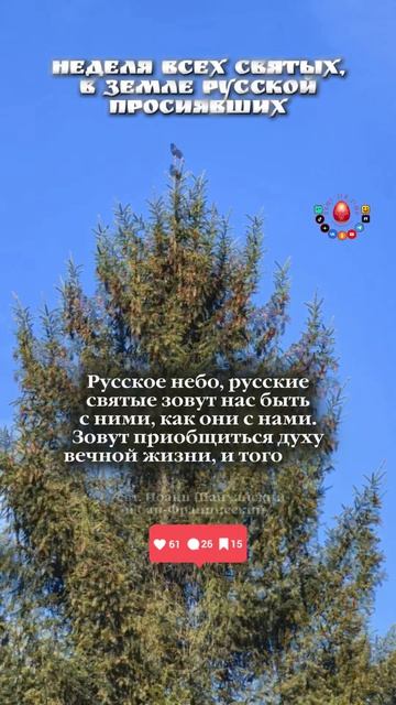 Русское небо зовет!..
