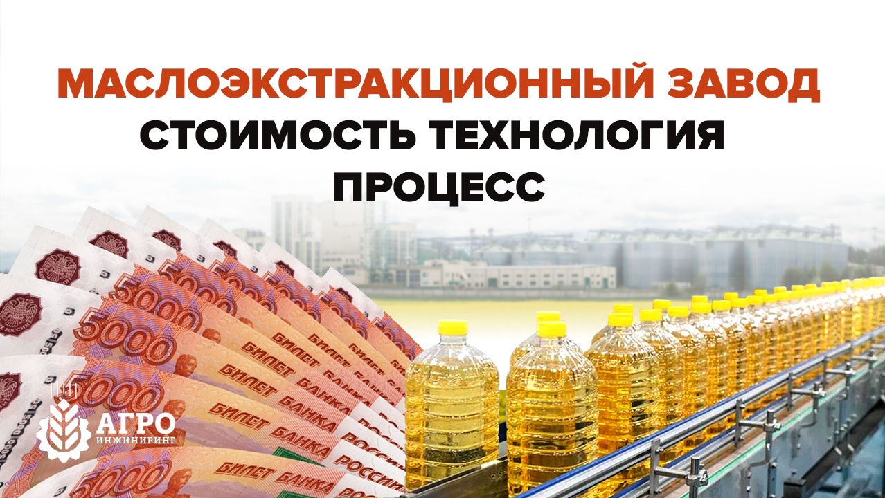 Сколько стоит построить маслоэкстракционный завод, как он устроен и работает.