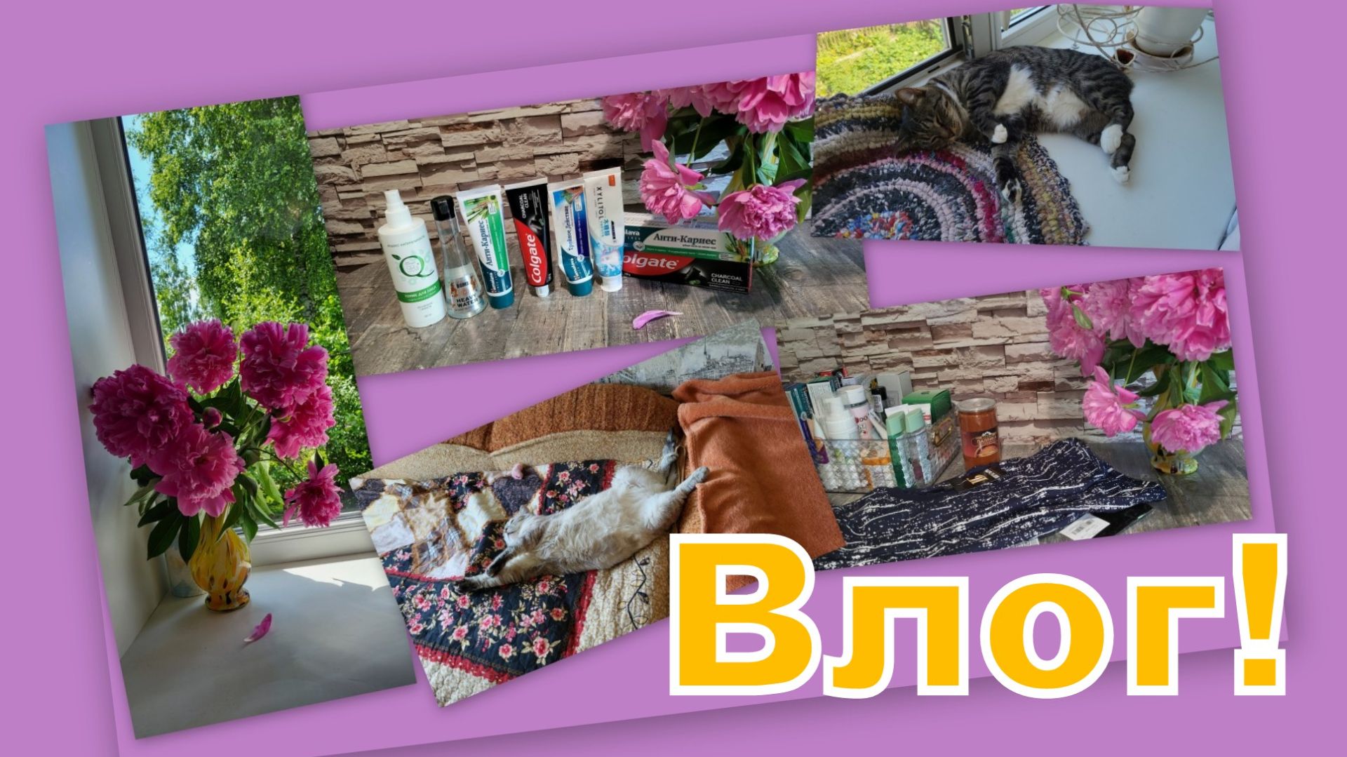 ВЛОГ: ВЫБИРАШКИ, ПОКУПКИ, ПУШИСТЫЕ БУДНИ, ЖАРКО)))