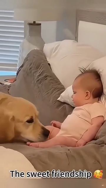 Милота в тьоп