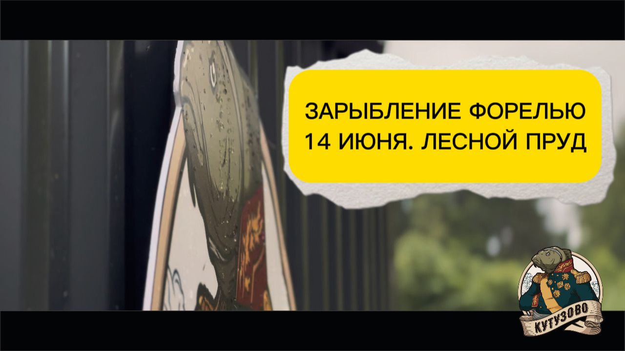 ЗАРЫБЛЕНИЕ ФОРЕЛЬЮ 14 июня в КУТУЗОВО