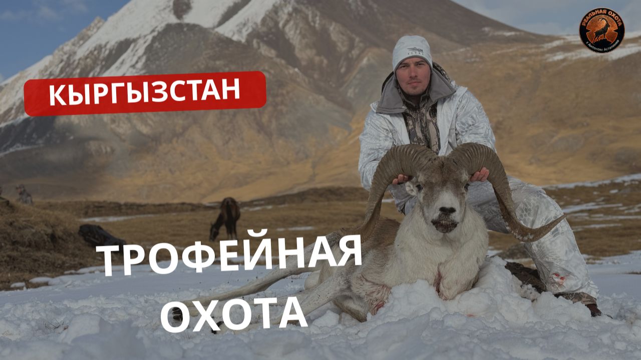 ТРОФЕЙНАЯ ОХОТА В КЫРГЫЗСТАНЕ | ОХОТА НА СНЕЖНОГО БАРАНА | РЕАЛЬНАЯ ОХОТА