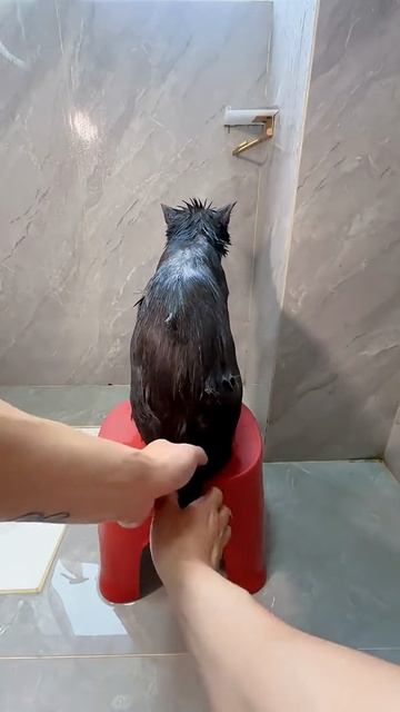 принимает душ