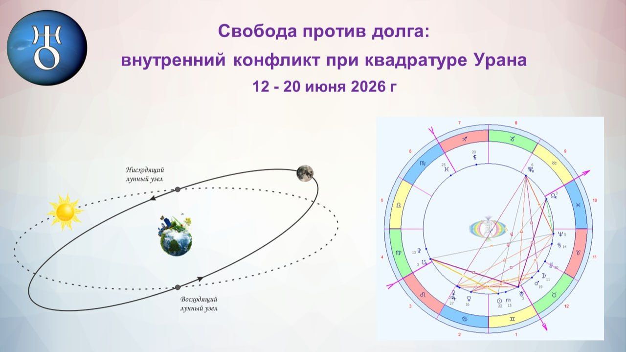 Унивесальность человеческого организма и организма цивилизационного.