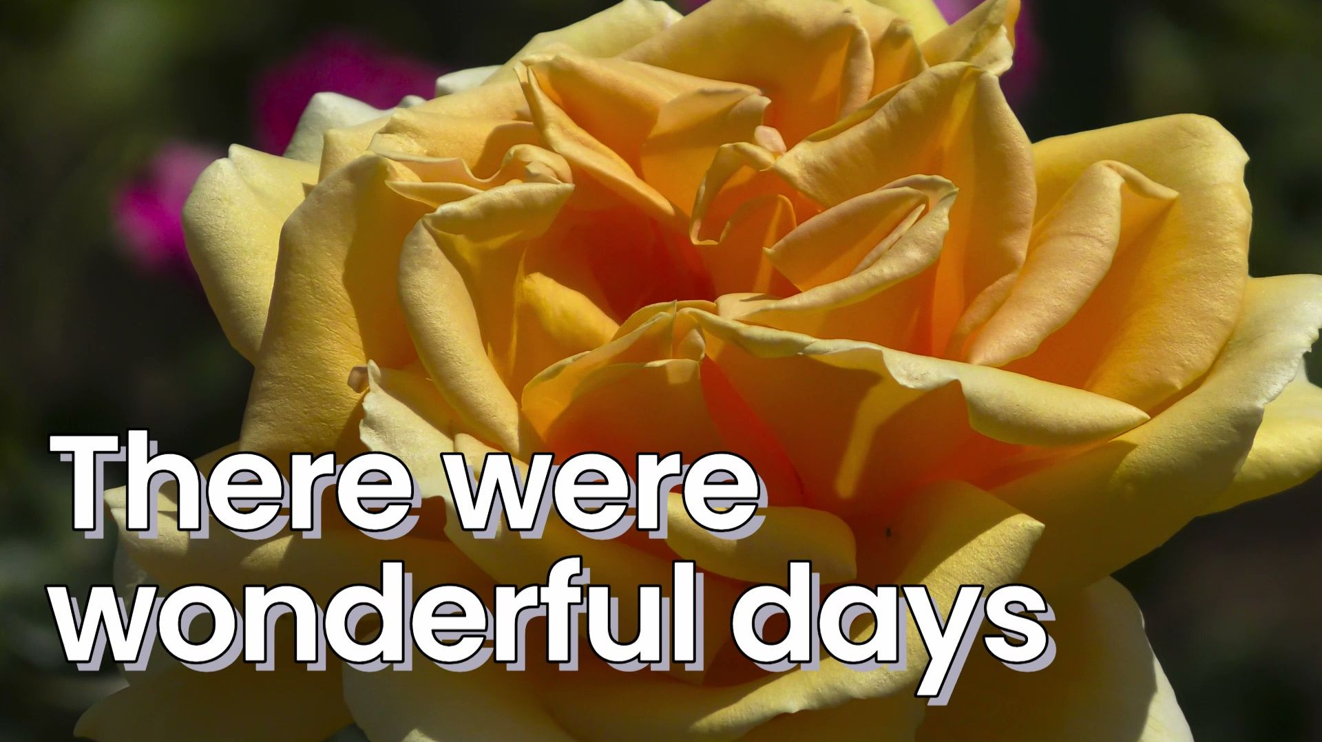 There were wonderful days