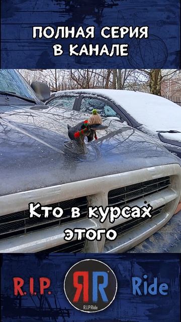 #shorts Полное видео в канале - https://youtu.be/J82aLs_rr3s