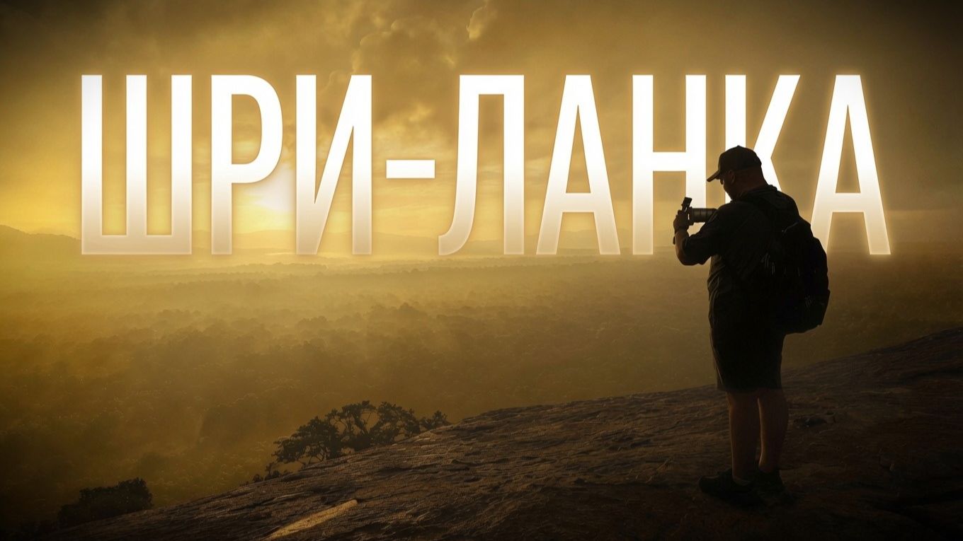 Путешествия