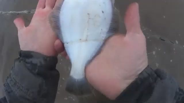 Идущий по воде.Столько рыбы прямо без лодки.Хожу собираю