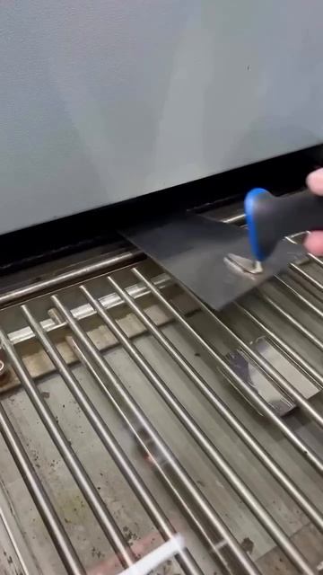 смерть на котике мем