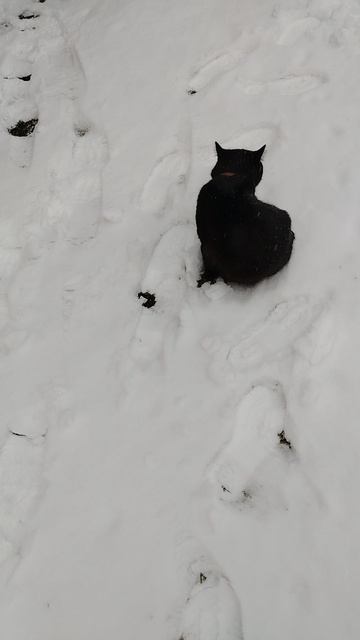 VID_20251118_102157