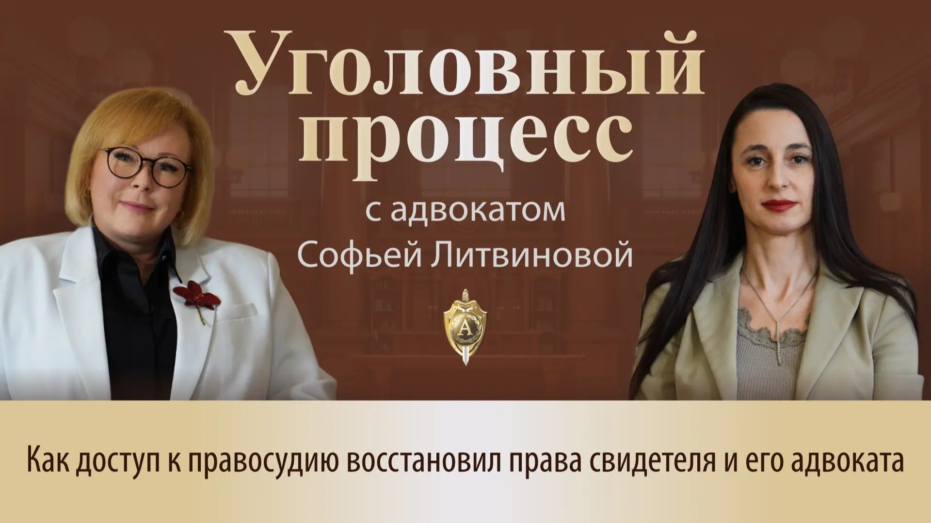 Выпуск 333. Как доступ к правосудию восстановил права свидетеля и его адвоката