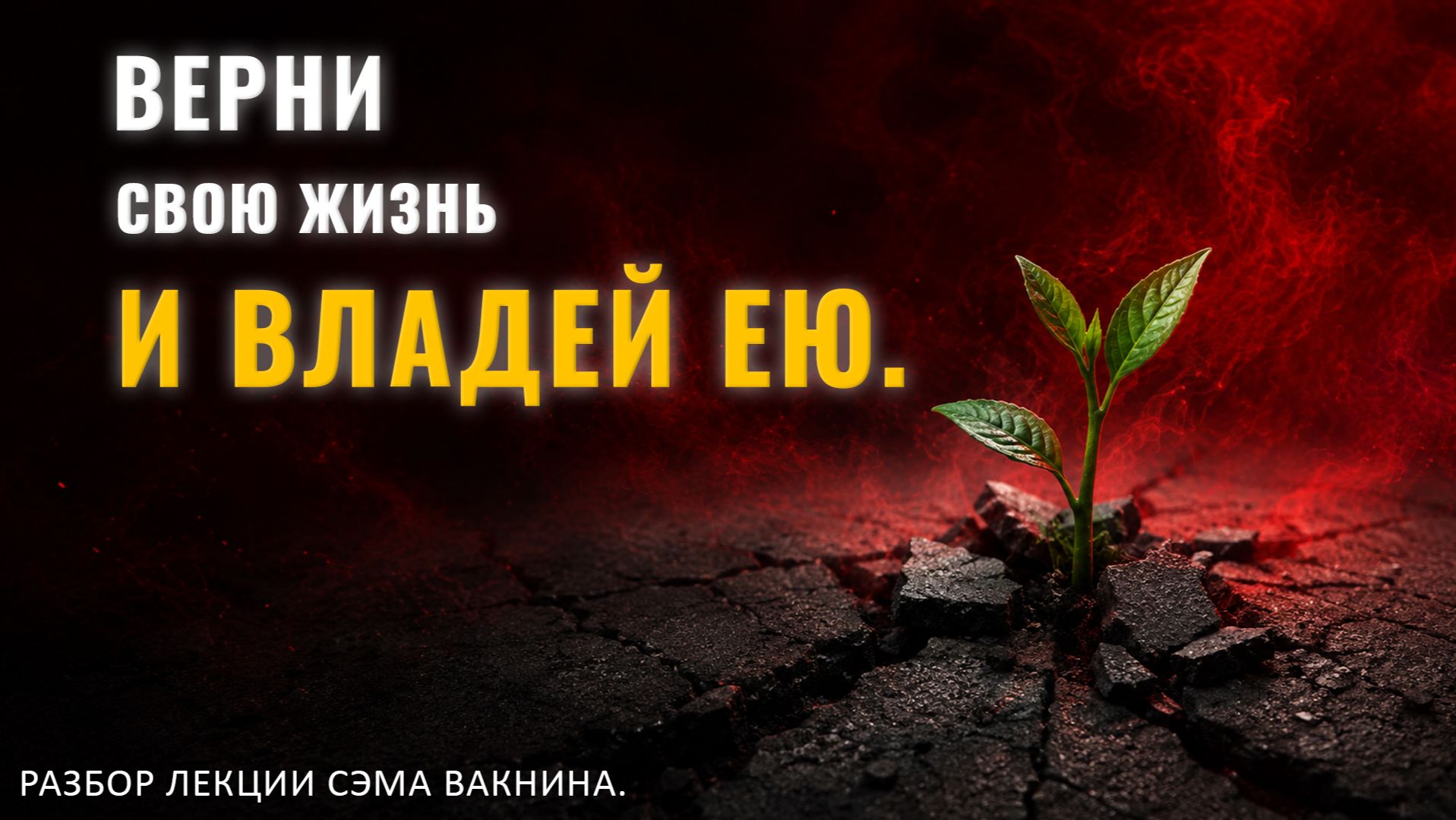 ВЕРНИ СВОЮ ЖИЗНЬ И ВЛАДЕЙ ЕЮ. Разбор лекции.