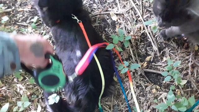 В кустах тихо и спокойно.