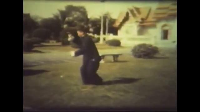 Tung Hu Ling (Dong Hu Ling) 1953 Taijiquan 董虎岭 董氏太极拳 (360p)