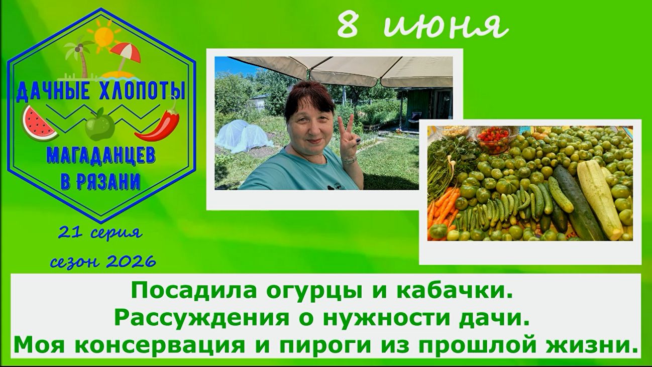 Посадила огурцы и кабачки. Рассуждаю о нужности мне дачи. Моя консервация и пироги из прошлой жизни