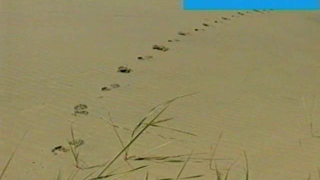 Улусчу ужурлар 6 класс