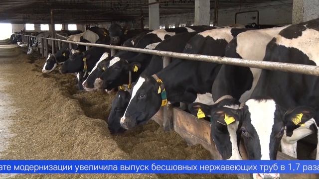 От промышленности и экономики до образования и медицины