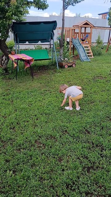 На даче