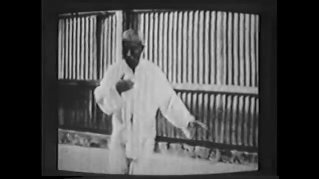 Dong Yingjie,  Dong style Taijiquan 董英杰 董氏太极拳 (360p)