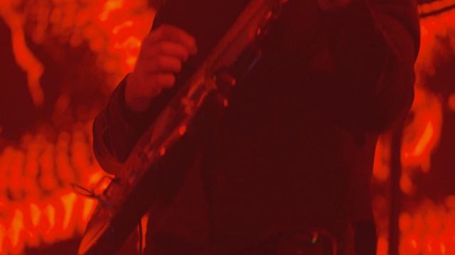 Дельфин - Надежда (Live 2025 - Violin version)