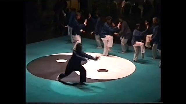 Taichi chuan style Tung Dйmonstration le Tungjia et Yangjia en partie