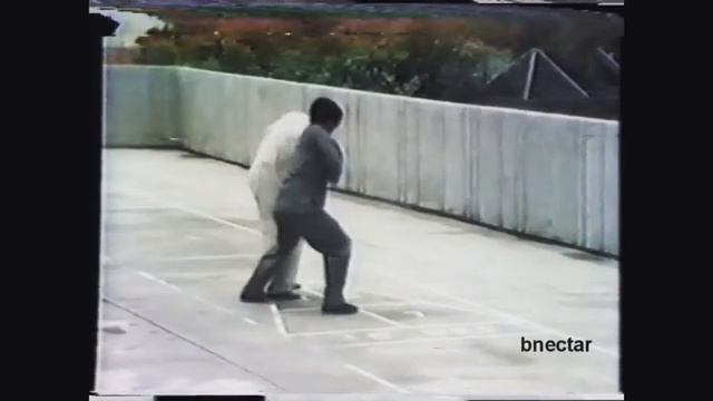 Tung - Yang Style Taiji (Tai Chi) Applications (360p)
