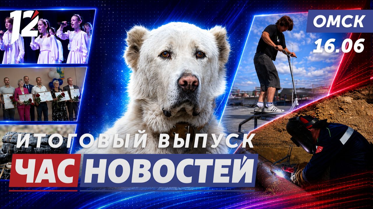 Хозяин избивает алабая / 31 ДТП с самокатами / Горячую воду вернут? Новости Омска