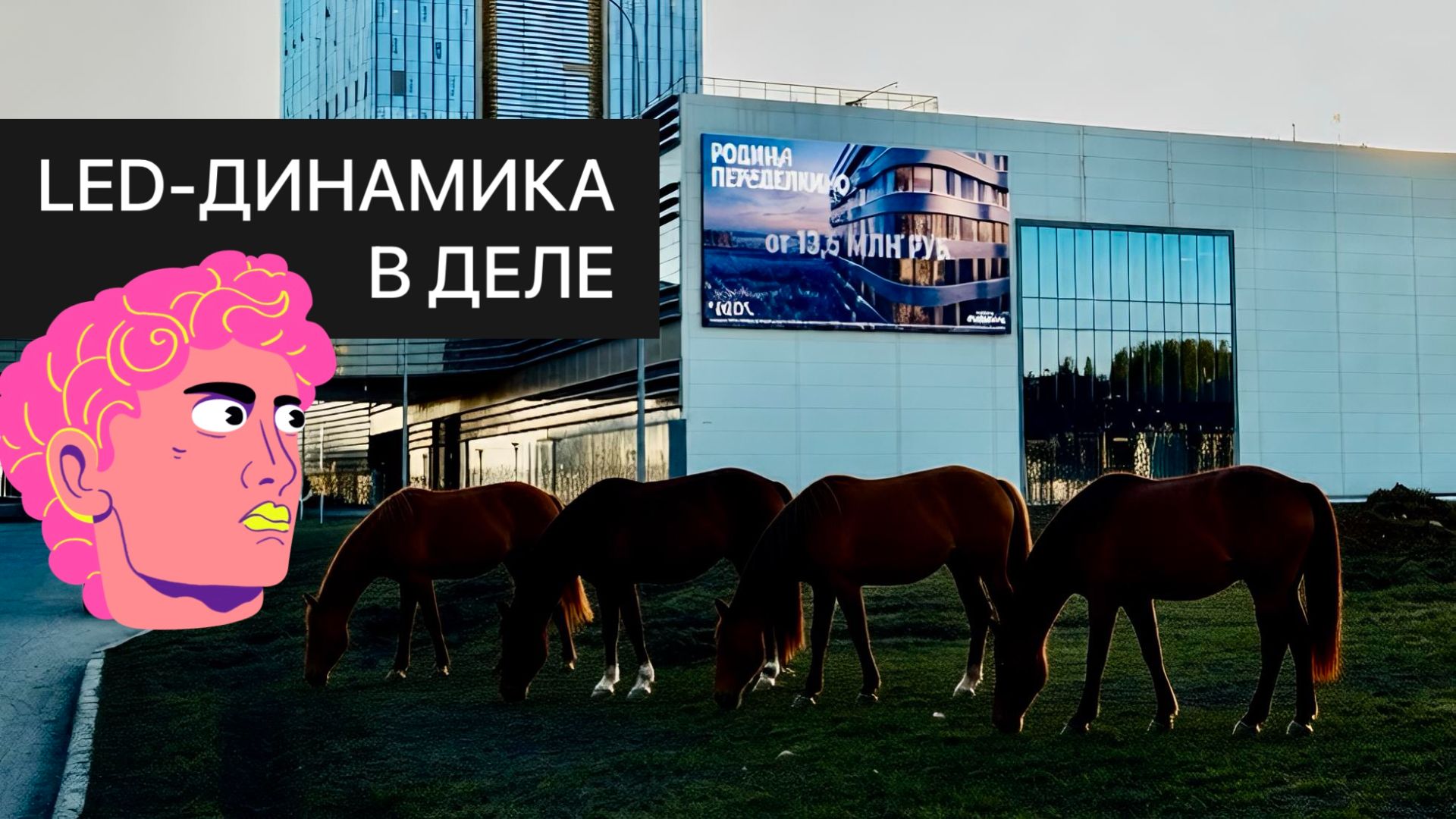 Этот LED-экран не пропустить | HD LED TECH