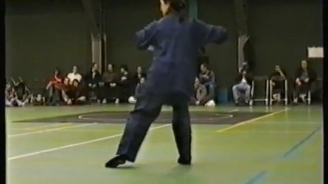 Taichi chuan  école Tung par Anya Méot _ (360p)