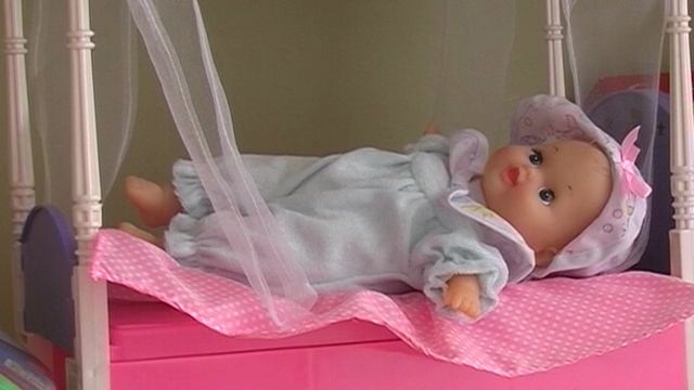 Открытие детсада «Ромашка» в хуторе Тубянском. 2008 год