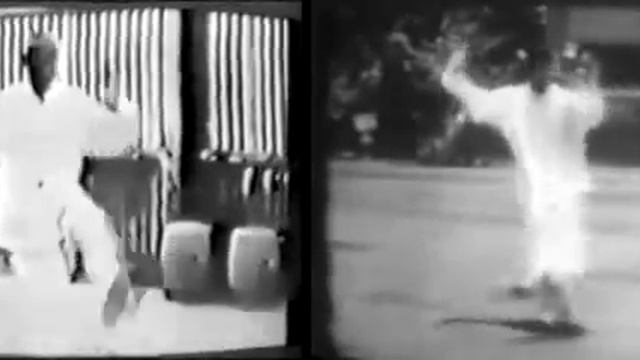 GrandMaster Tung Ying Chieh and GrandMaster Tung Hu Ling video