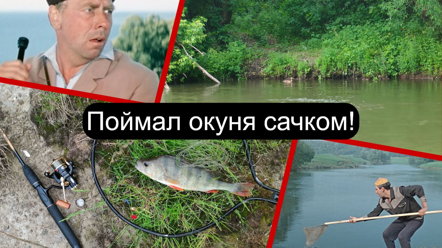 Поймал окуня сачком! Никаких мормышингов!