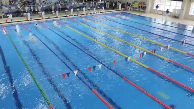 Плавание.Хабаровск 2026