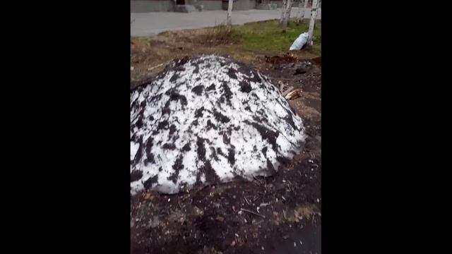 Сопротивляющийся Сугроб The Resisting Snowdrift
