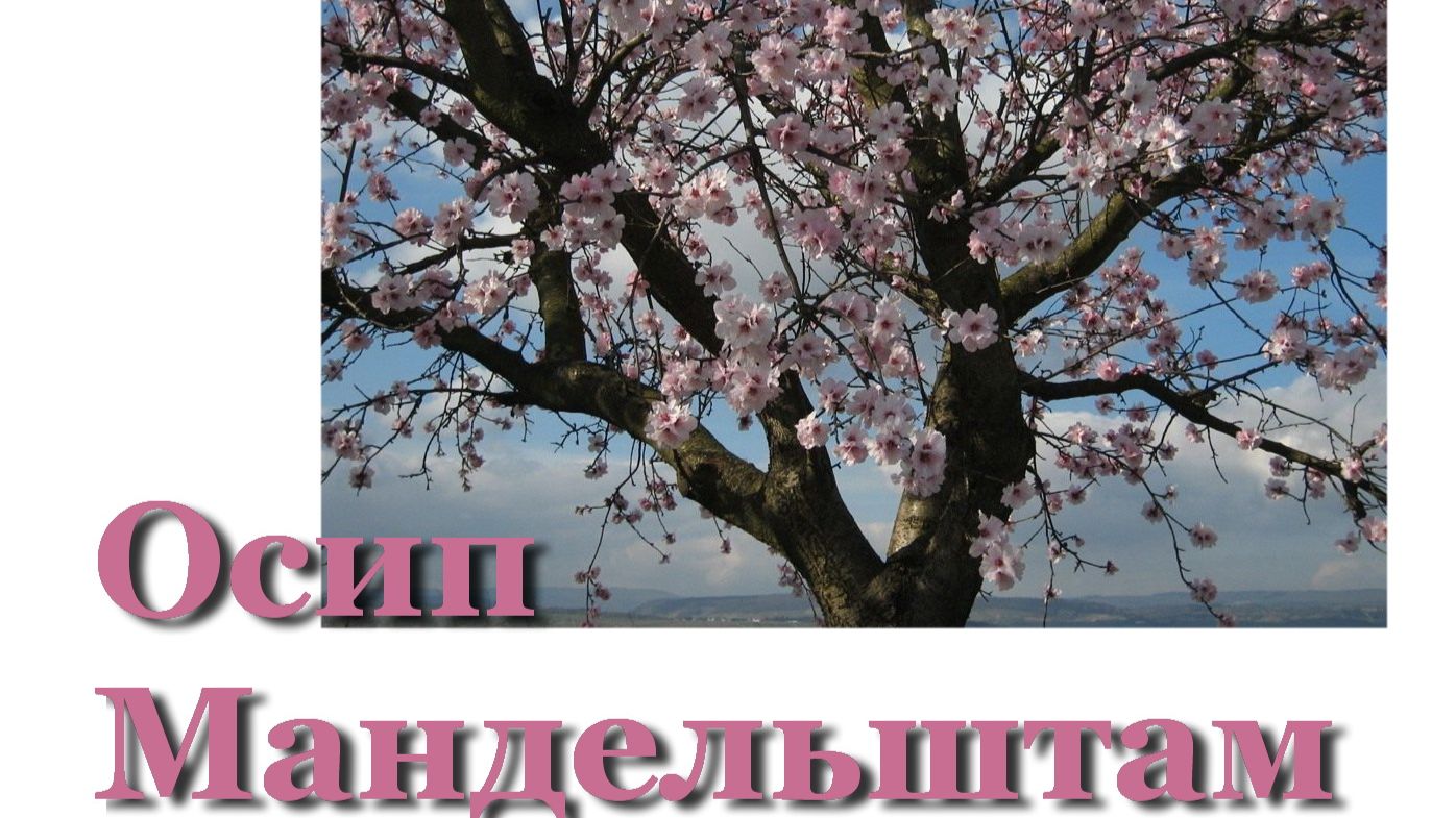Шедевры мировой литературы