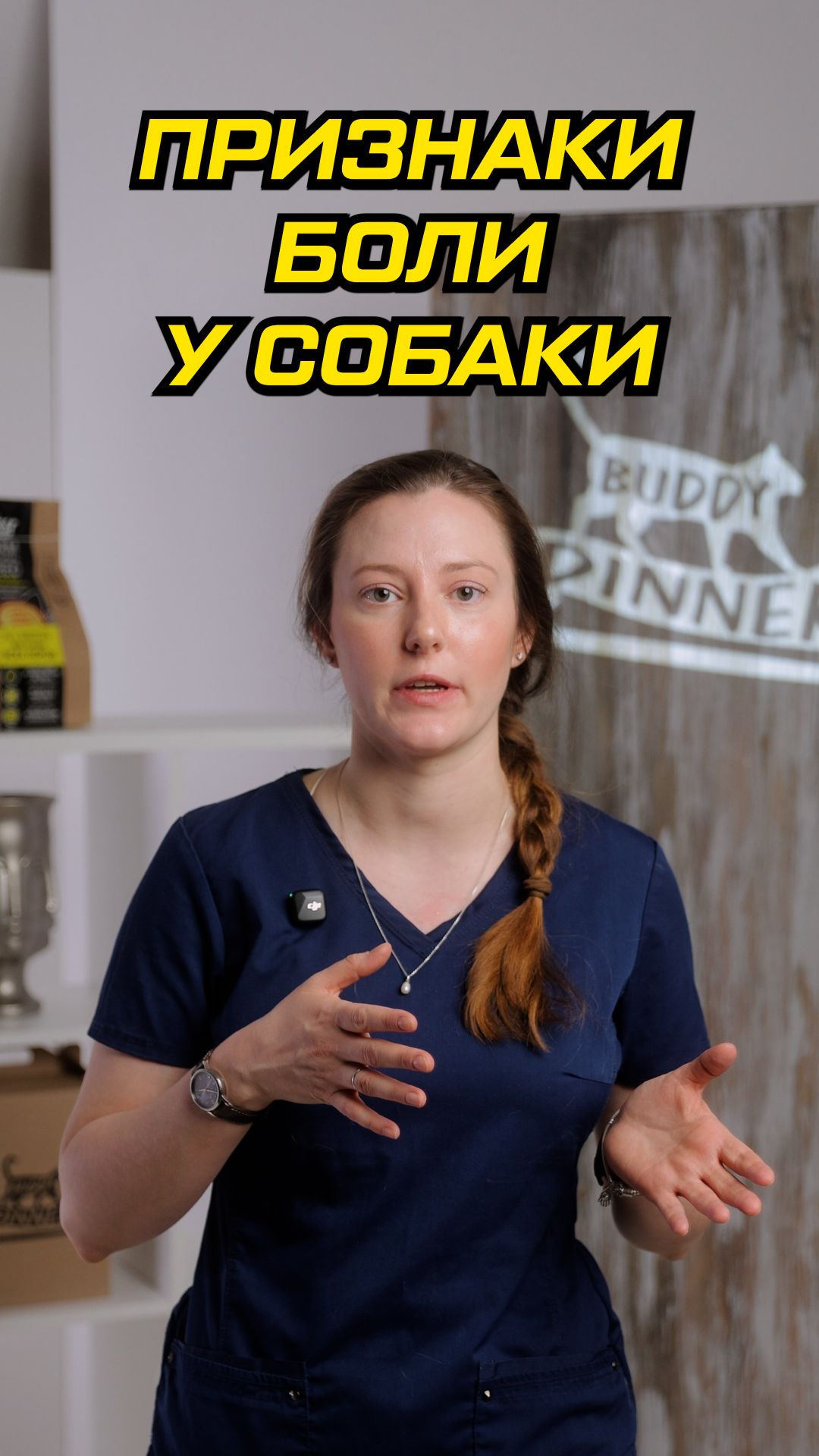 Признаки боли у собак, которые вы можете не замечать.