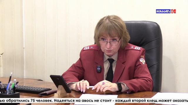 534 укуса, каждый второй заражён и вакцинация как спасение: сезон клещей в Серове набирает обороты