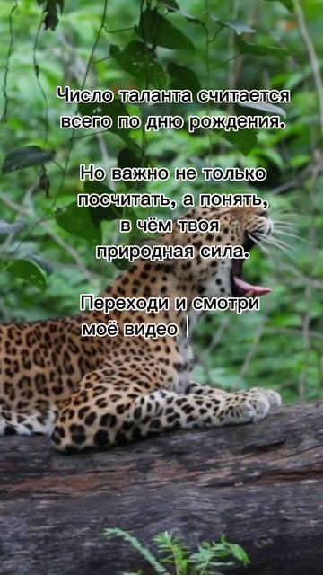 Число таланта считается всего по дню рождения #7гроз #веды #нумерология #астрология #магиячисел