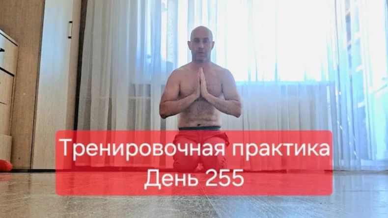 Тренировочная практика. День 255