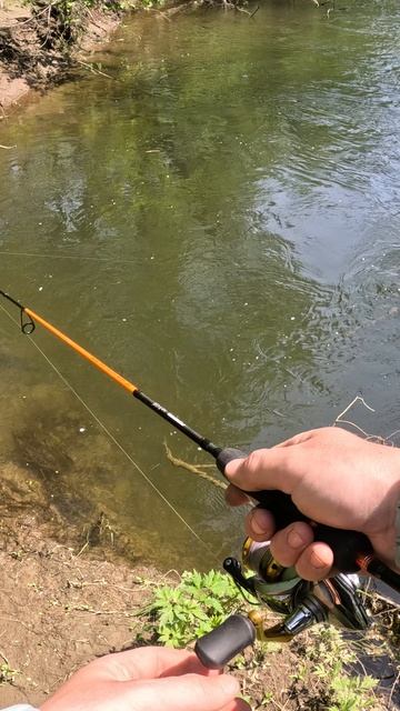 🐟Заставил рыбу клюнуть🐟 Сезон 2026! Рыбалка Сахалин  #Сахалин #рыбалка #сима #лосось
