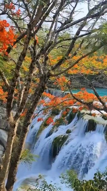 Водопад Эль-Меко (Cascada El Meco) 🇲🇽